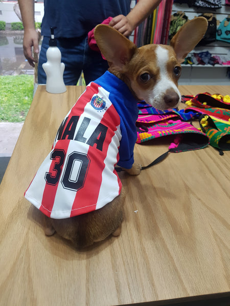jersey para perros chivas – Benito Moda para tu mascota